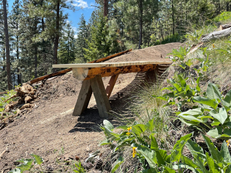 Bike Trail Features: Ramps, Steps and Bridges - Integrated Trail Lab